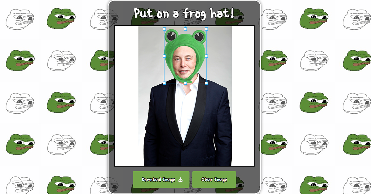 Apu.com | Frog Hat